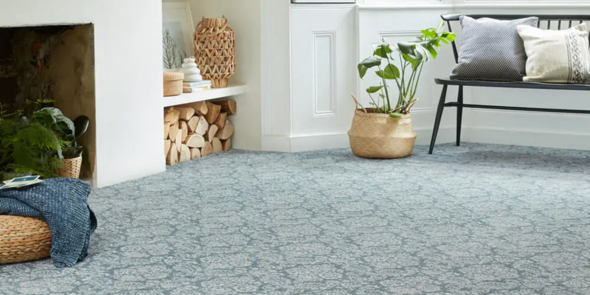 Blue Carpet Guide | Knowledge Hub